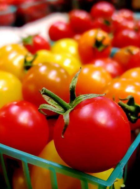 Différents types de Tomate bio - Tomate bio